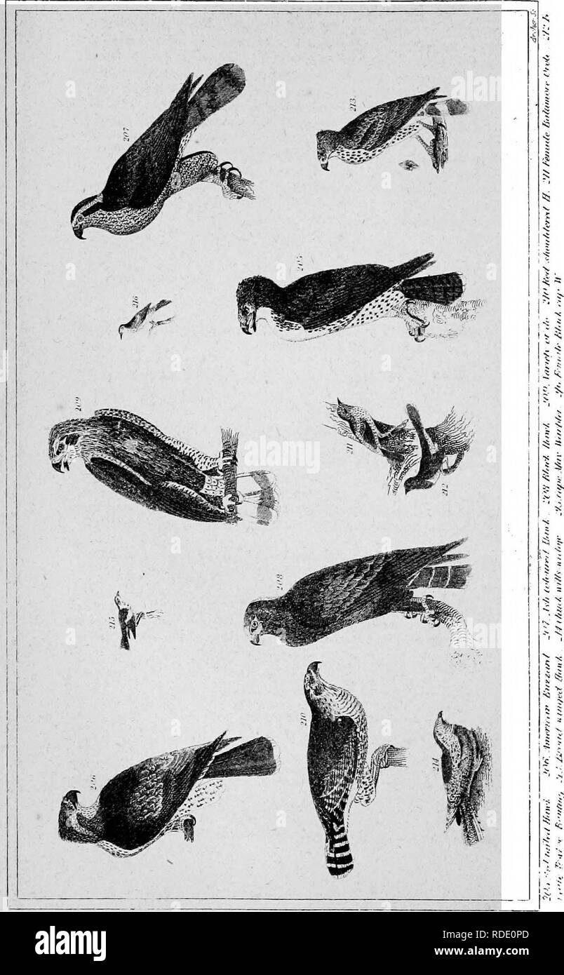 William nuttall hi-res stock photography and images - Alamy