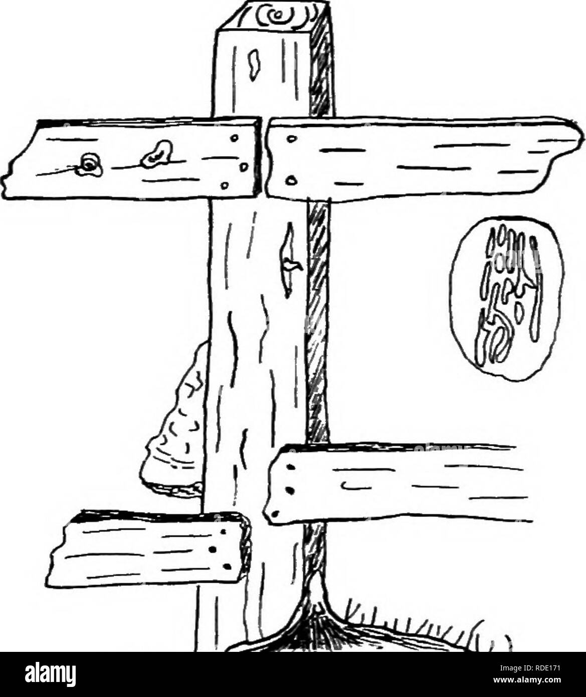 Sap rot hi-res stock photography and images - Alamy