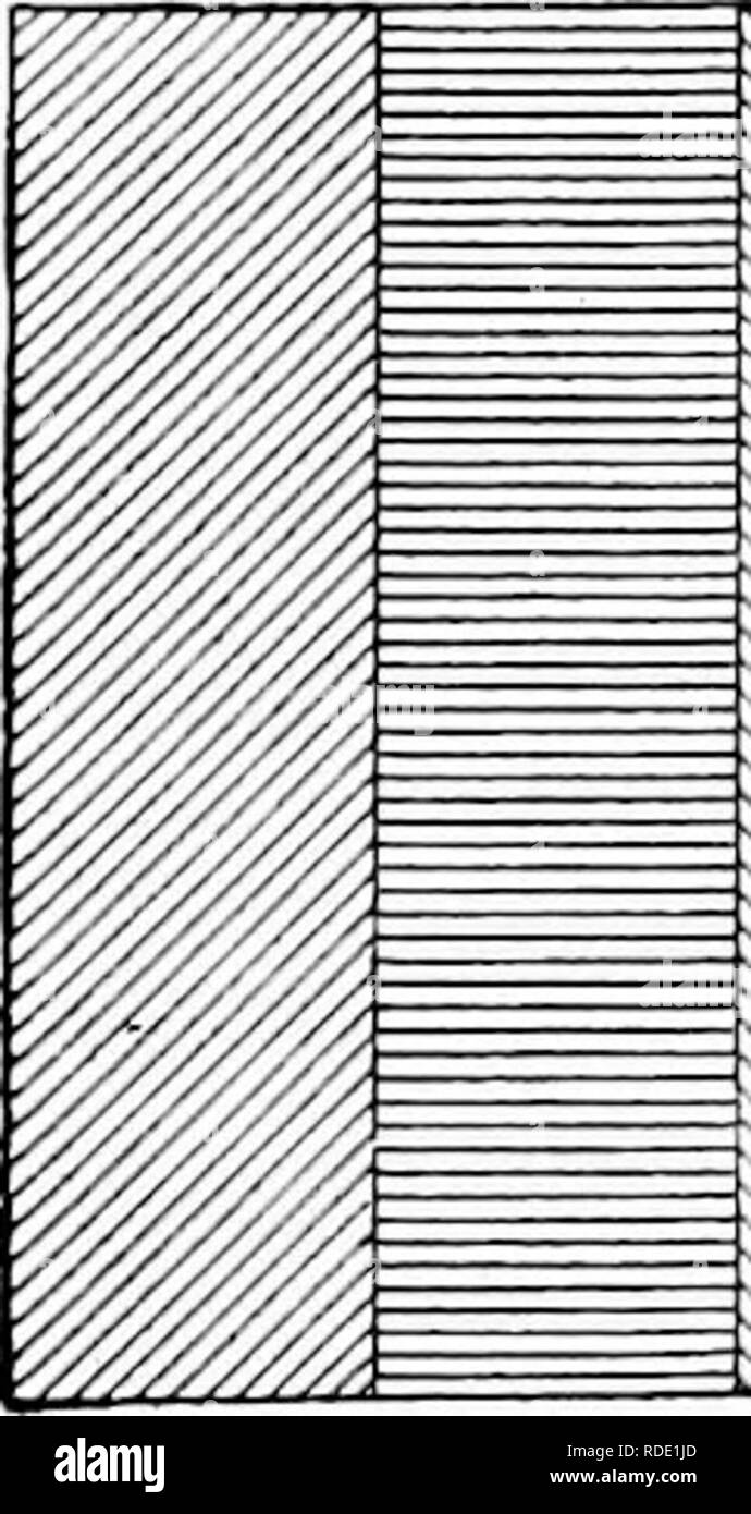 Strip cutting forest Black and White Stock Photos & Images - Alamy