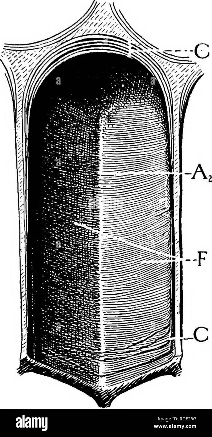 Concave cap Black and White Stock Photos & Images - Alamy