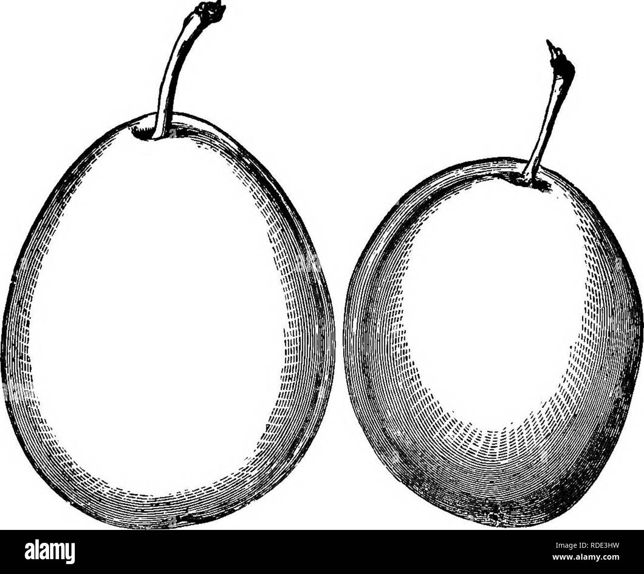 Psche hi-res stock photography and images - Alamy