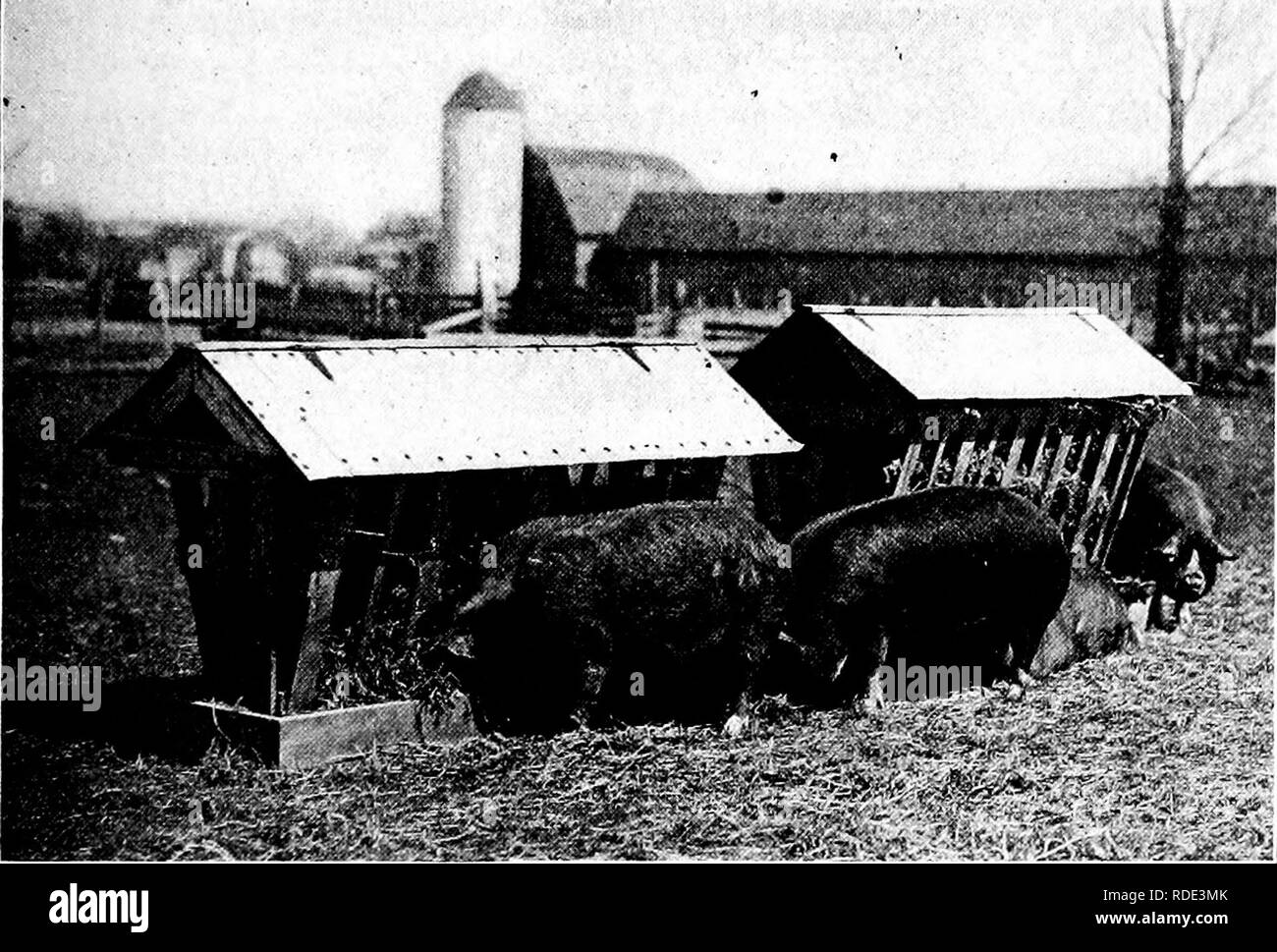 Cured hay Black and White Stock Photos & Images - Alamy