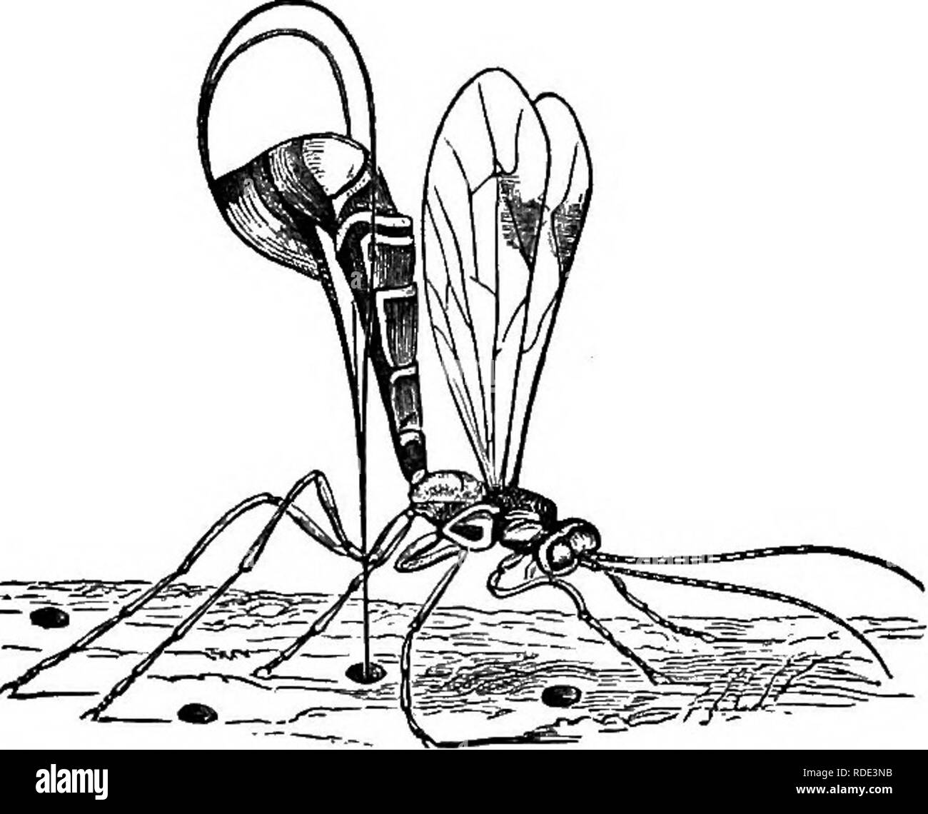 Workers relationships Black and White Stock Photos & Images - Alamy