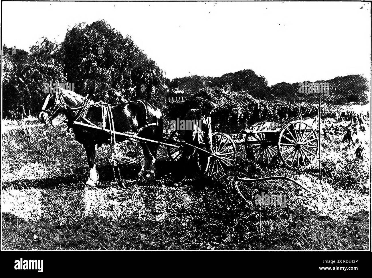 Soilage High Resolution Stock Photography and Images - Alamy