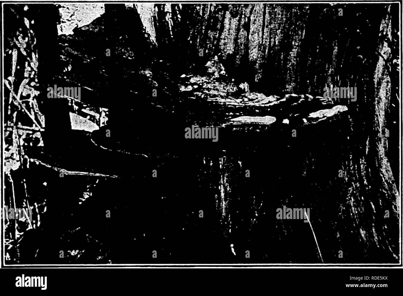 6 8 3 0 8 cm Black and White Stock Photos & Images - Alamy