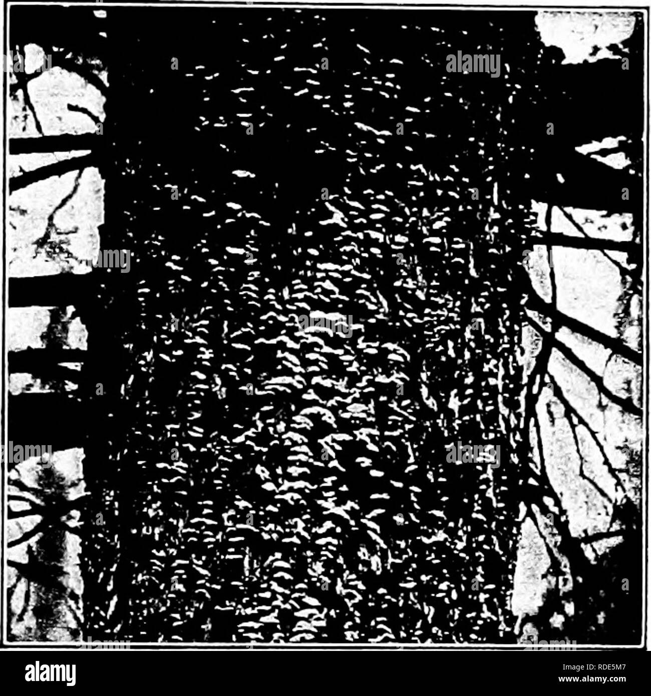 1 5 0 6 2 4 cm Black and White Stock Photos & Images - Alamy