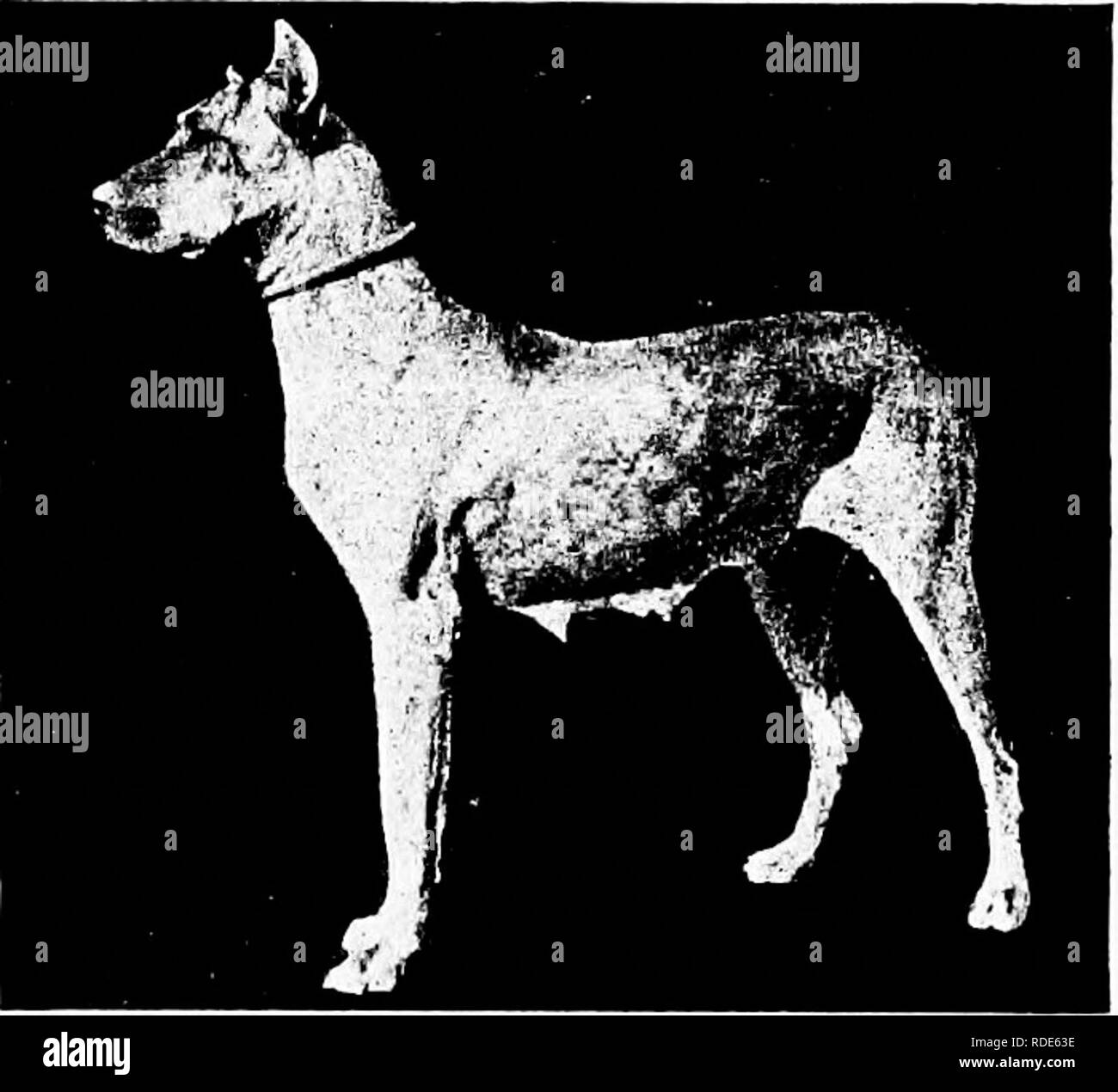 Melac house hi-res stock photography and images - Alamy