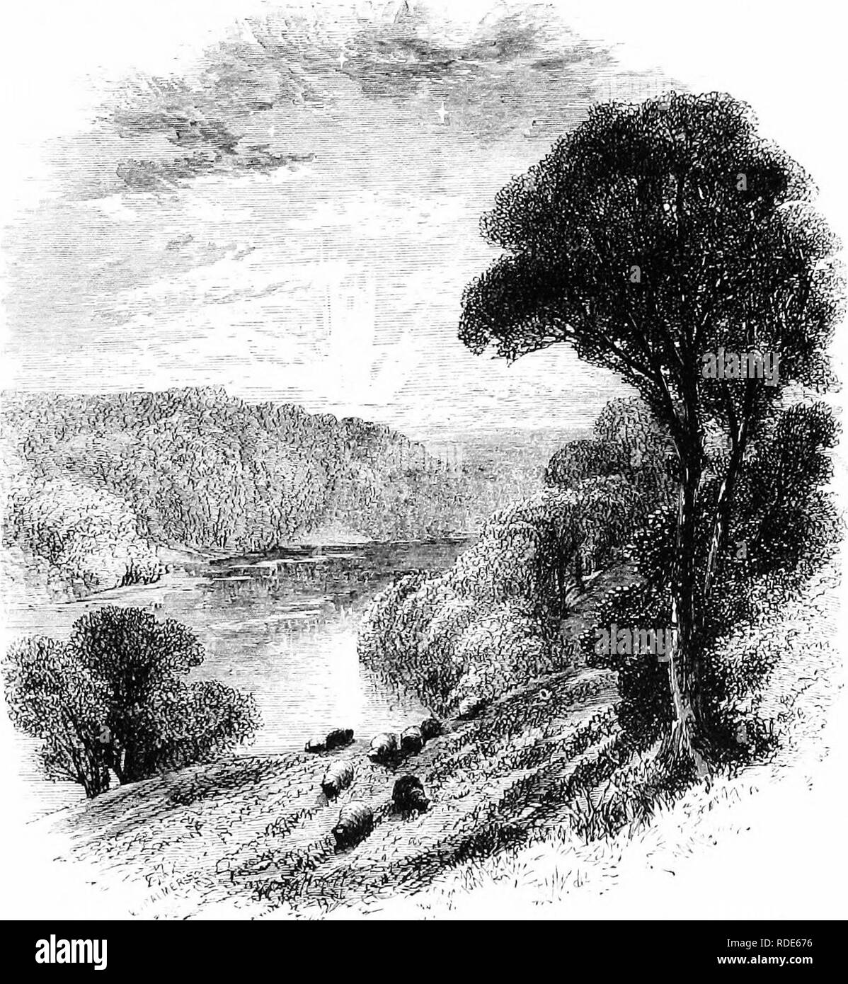 George searle hi-res stock photography and images - Alamy