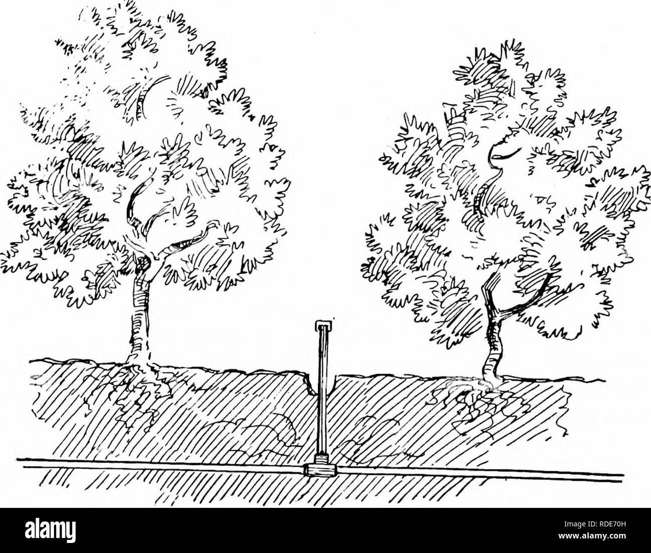 sub irrigation drawing