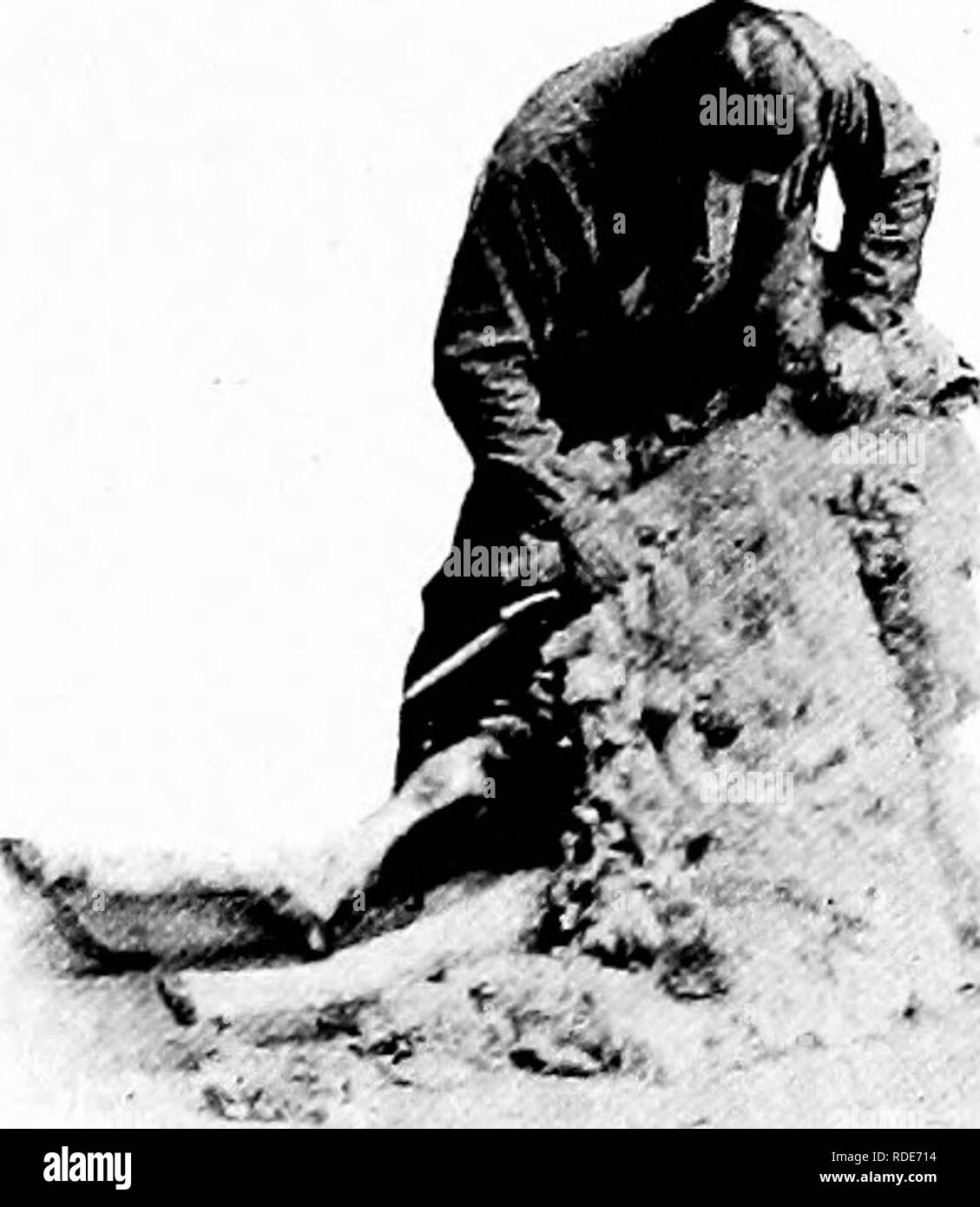 . Manual of farm animals; a practical guide to the choosing, breeding ...