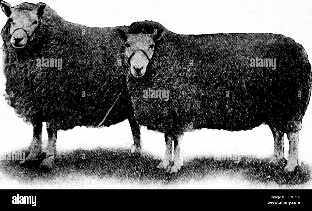 Cattle Dip Farm High Resolution Stock Photography and Images - Alamy