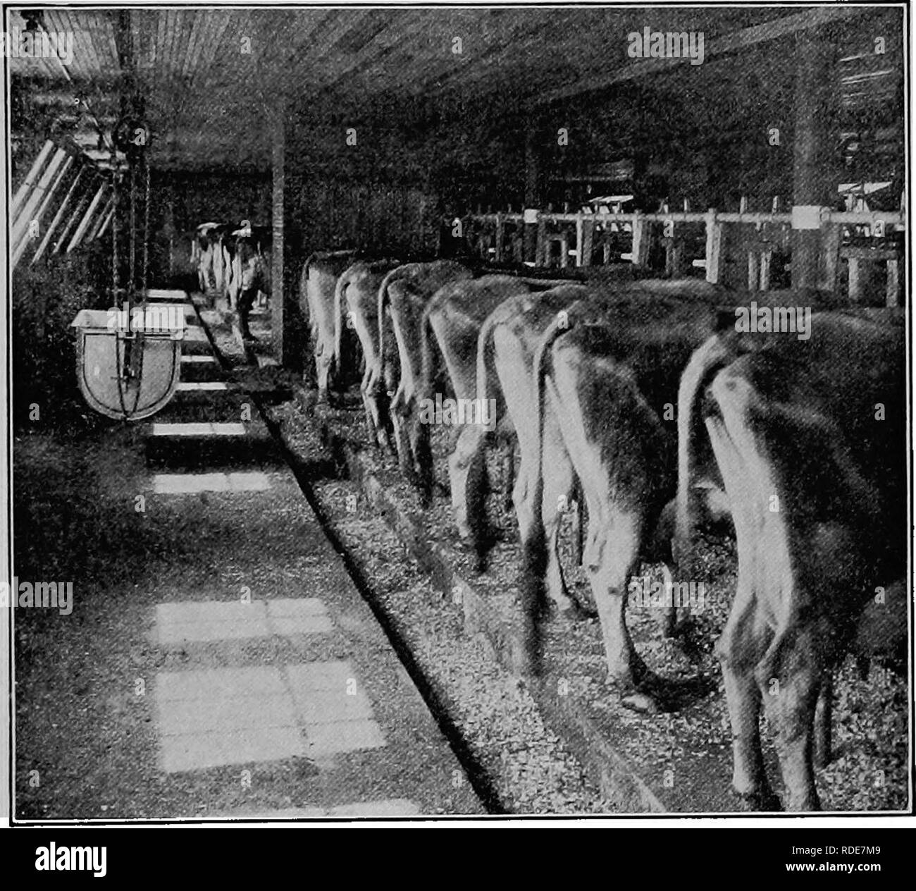 Stable litter Black and White Stock Photos & Images - Alamy