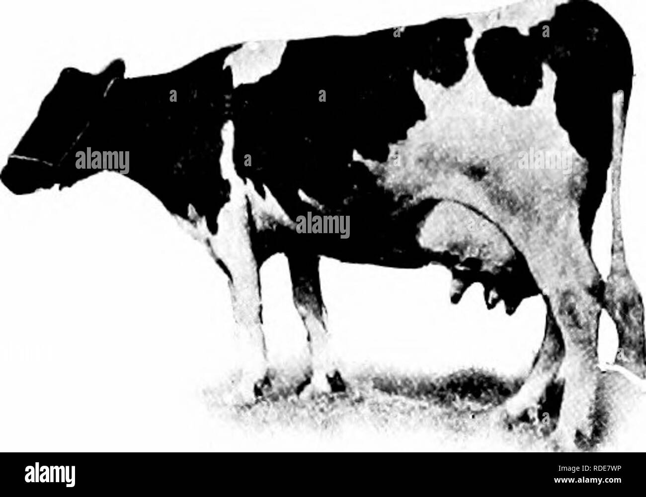 . Manual of farm animals; a practical guide to the choosing, breeding ...