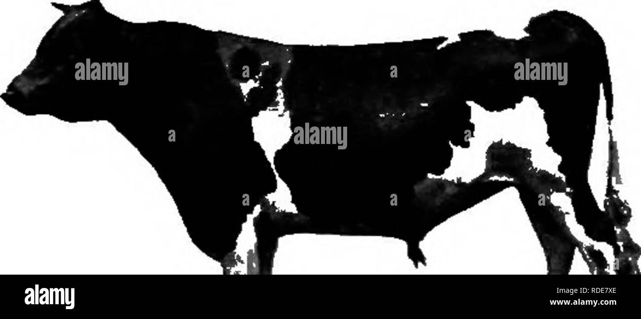 Dending hi-res stock photography and images - Alamy