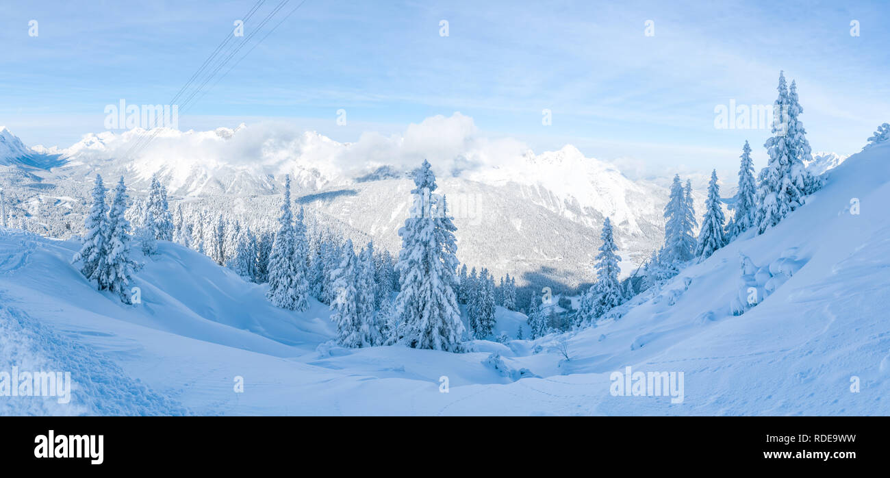 Wide panoramic view of winter landscape with snow covered trees and ...