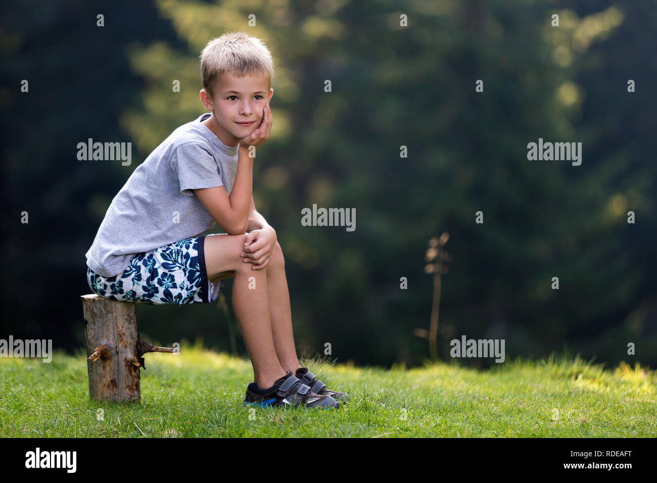 Young cute blond smiling dreamily child boy sitting on tree stump on ...