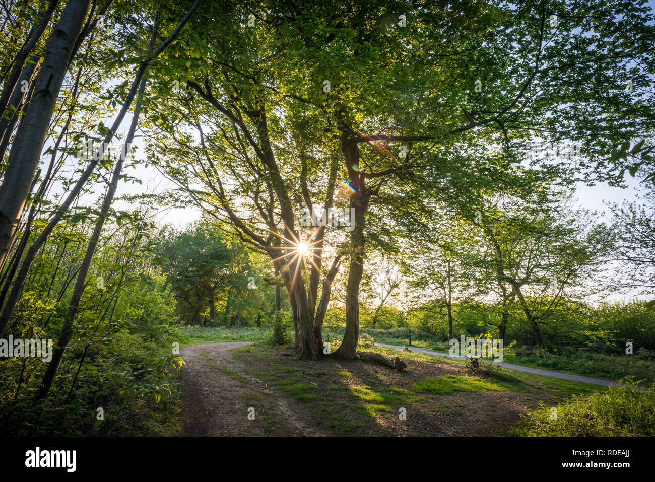 Aonb england hi-res stock photography and images - Alamy