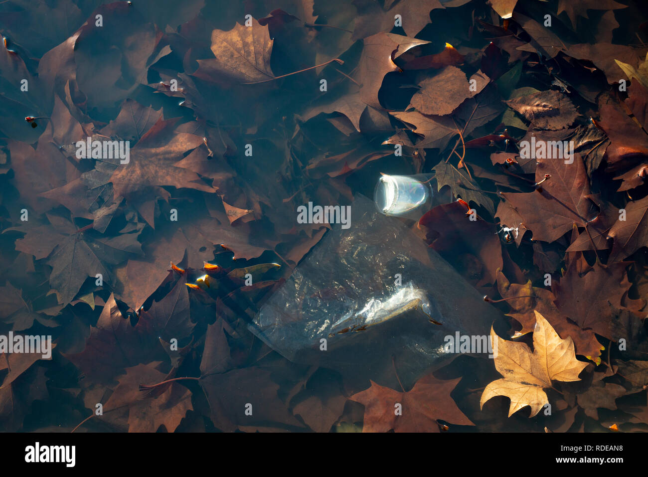 Discarded trash in a pond in Clapham Common, London, UK Stock Photo - Alamy