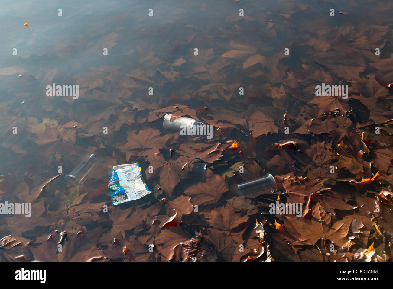 Pond rubbish hi-res stock photography and images - Alamy