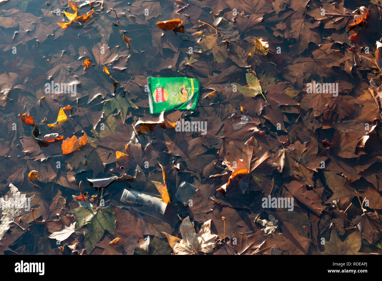 Discarded trash in a pond in Clapham Common, London, UK Stock Photo - Alamy
