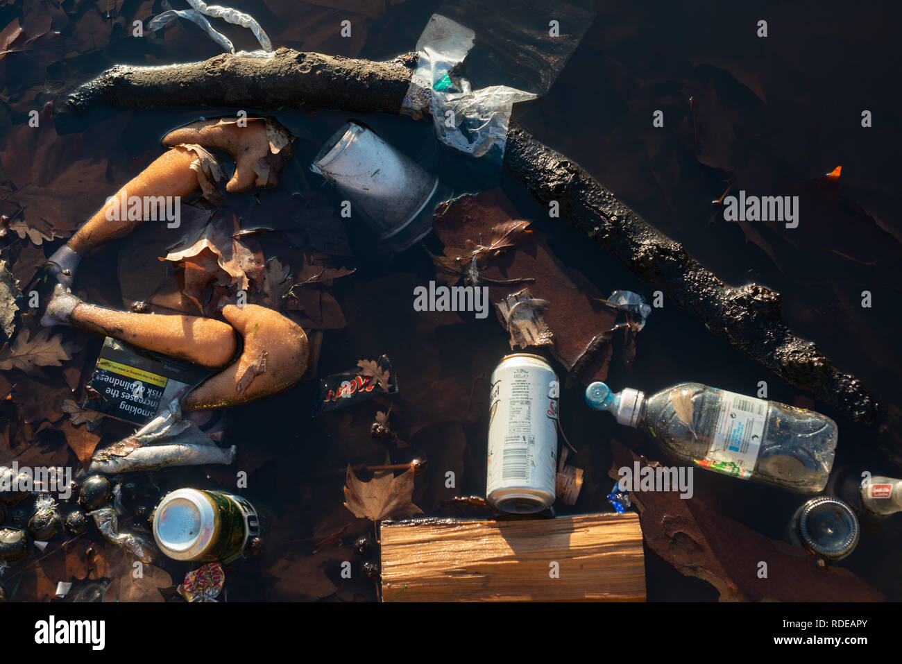 Discarded trash in a pond in Clapham Common, London, UK Stock Photo - Alamy