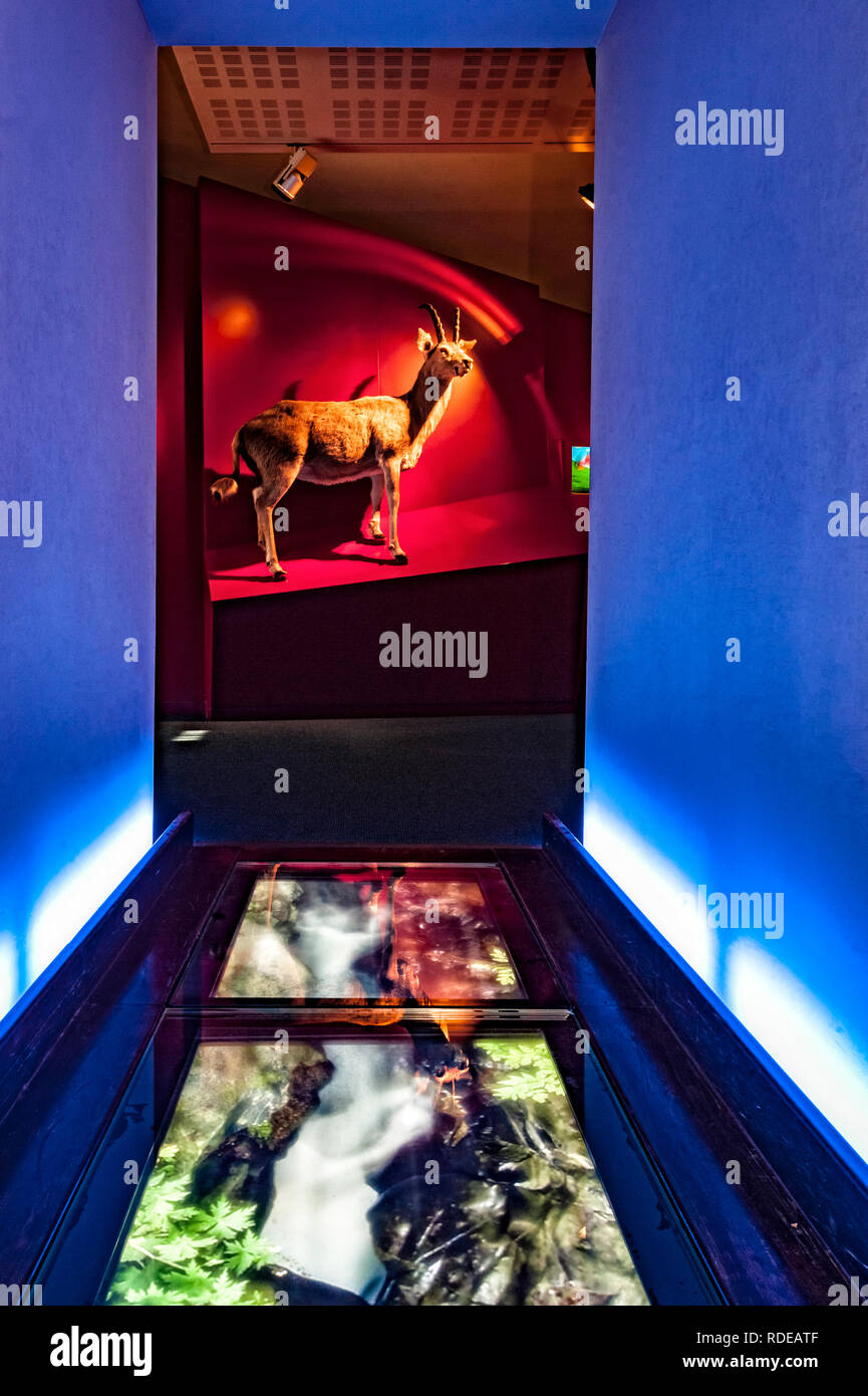 Italy Valle D'Aosta Bard The Fort - Now Museum - Museum of the alps ...