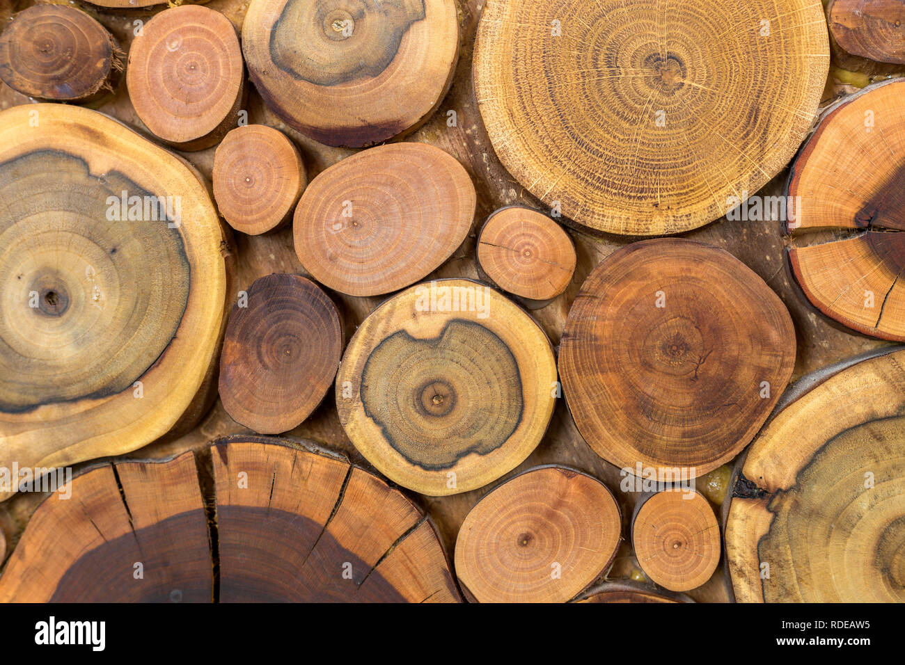 Round wooden unpainted solid natural ecological soft colored brown and ...