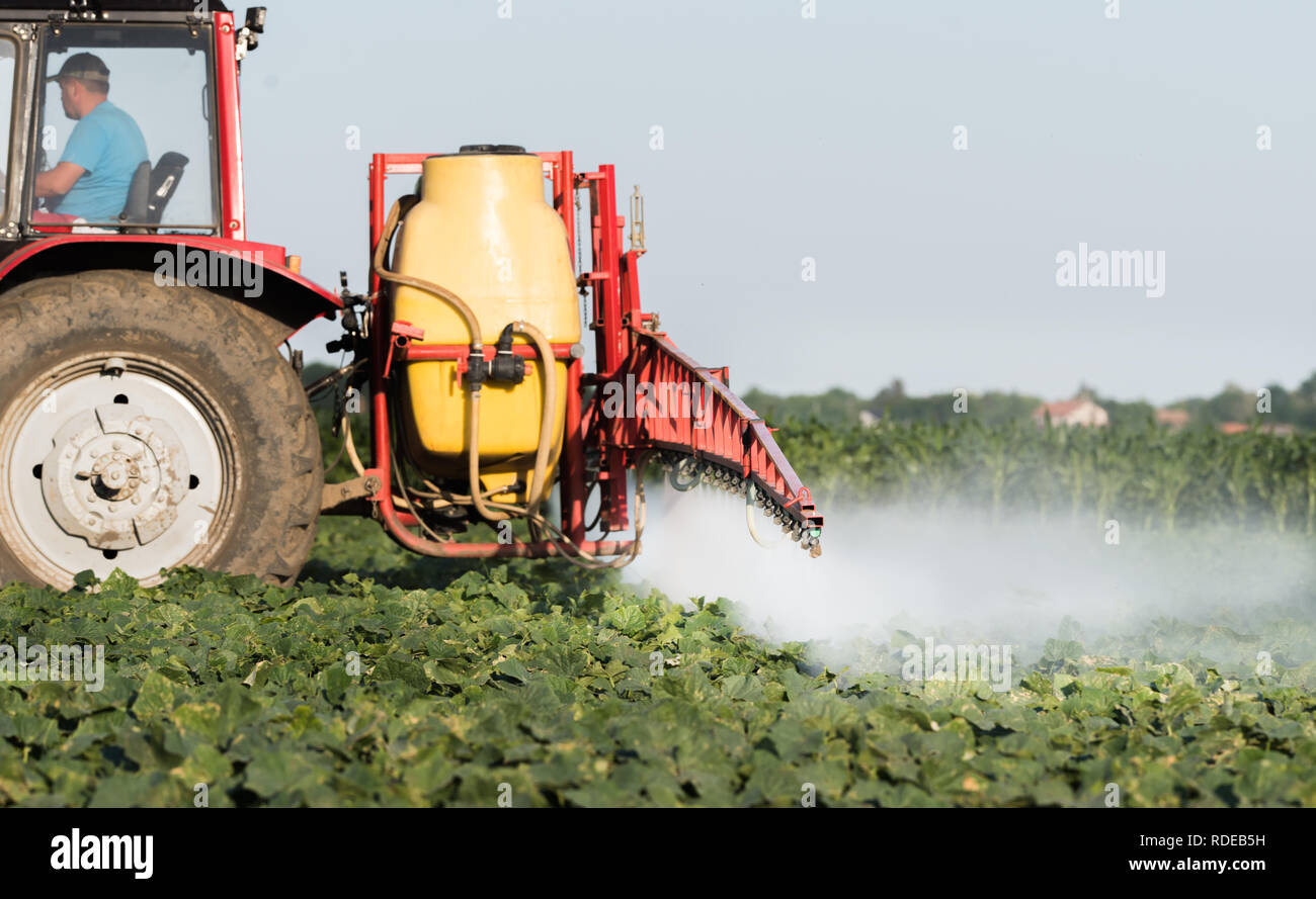 Farmer on a tractor with a sprayer makes fertilizer for young ...