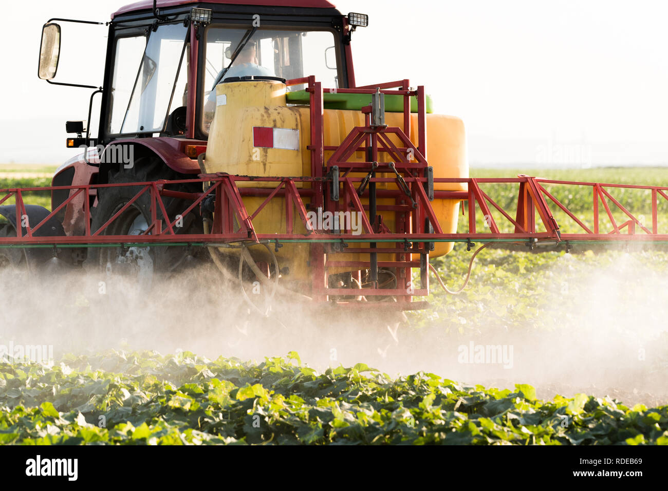 Farmer on a tractor with a sprayer makes fertilizer for young ...