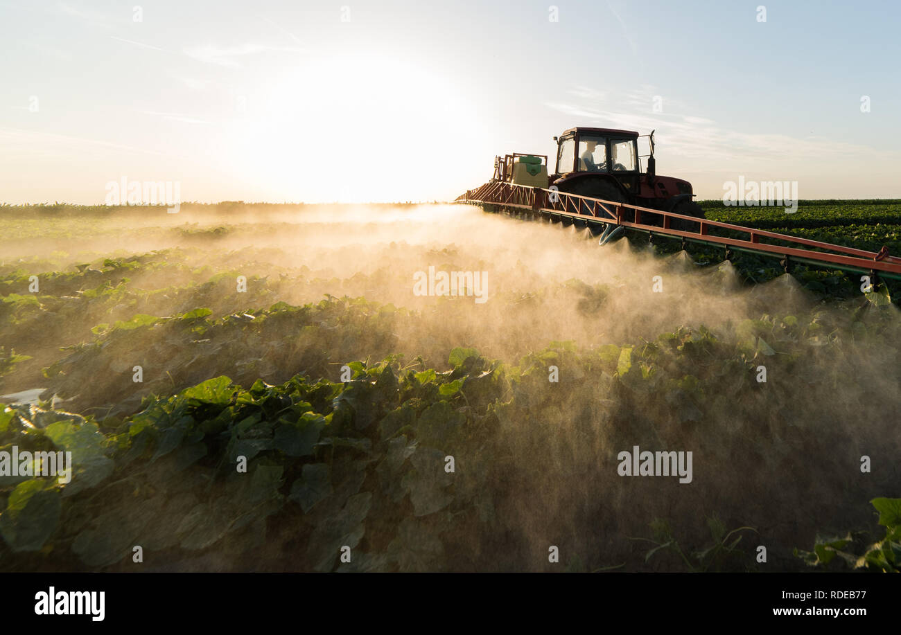 Farmer on a tractor with a sprayer makes fertilizer for young ...