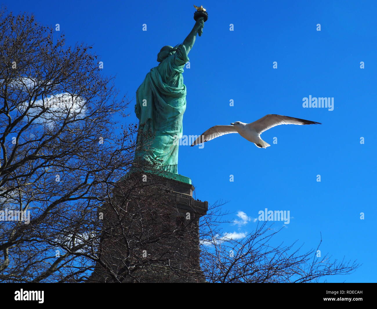 Statue of liberty with birds hi-res stock photography and images - Alamy