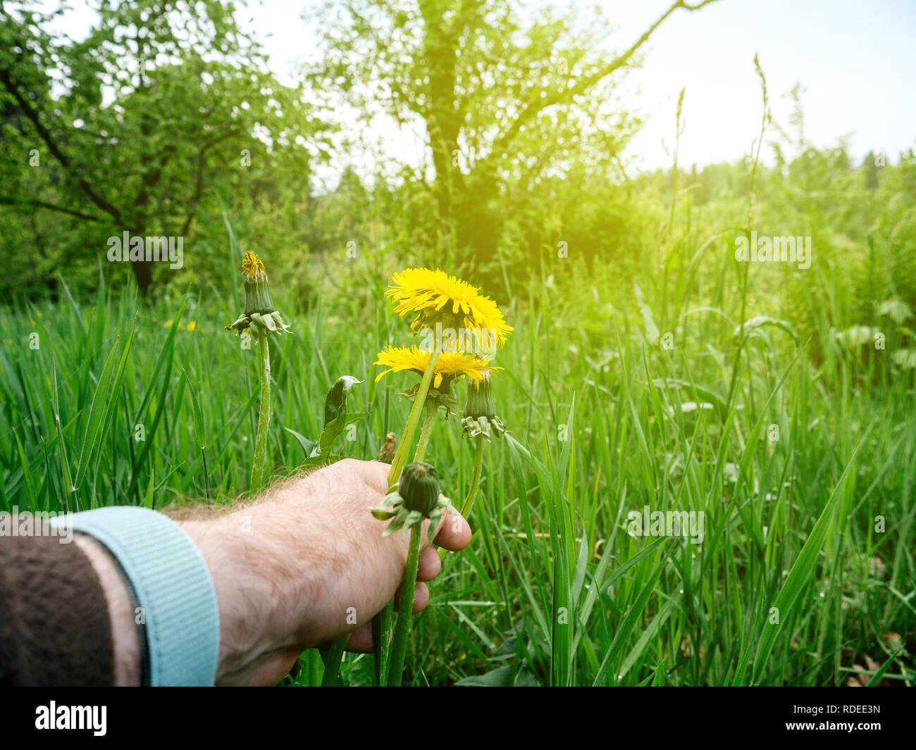 Set of reasons hi-res stock photography and images - Alamy