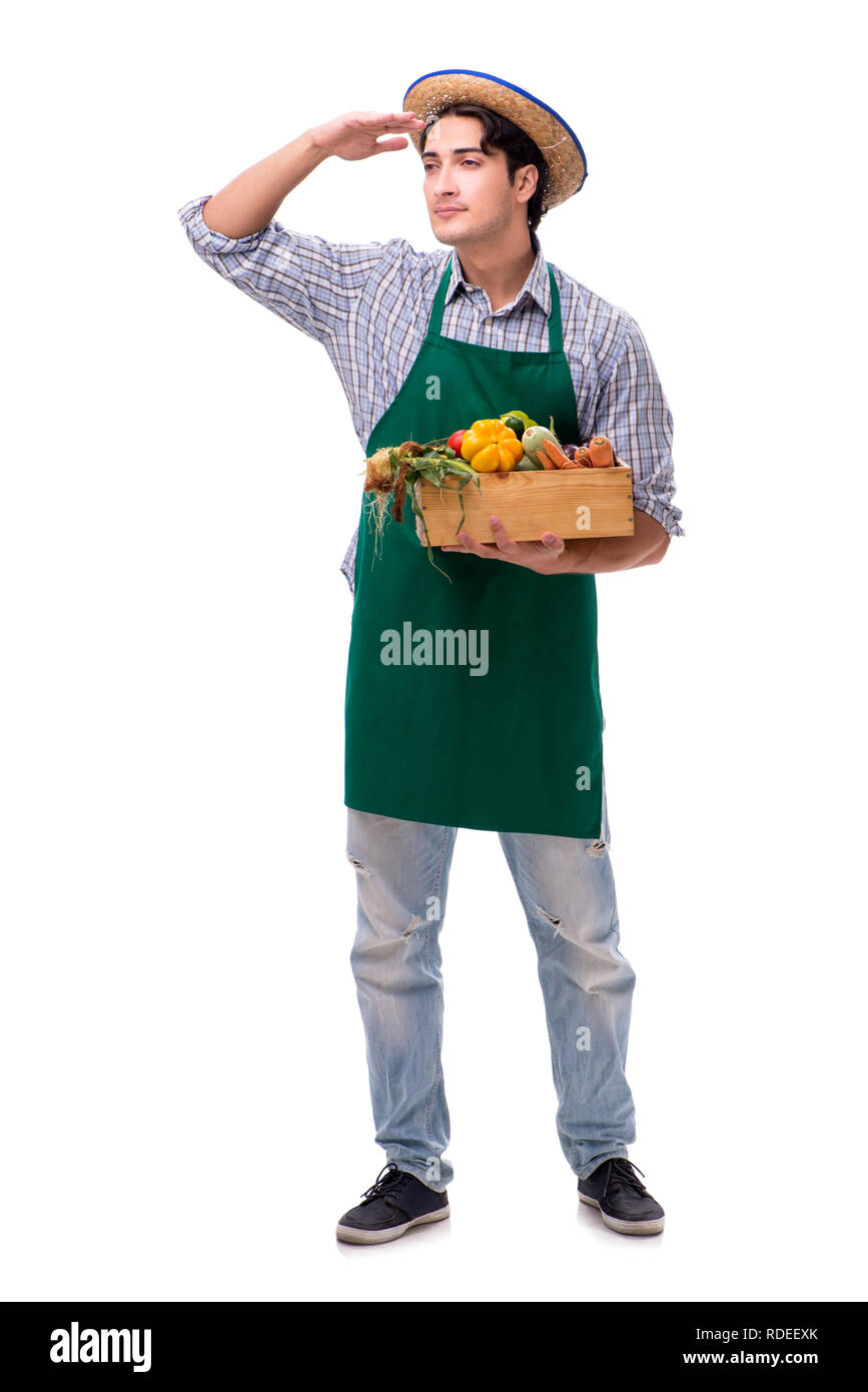 Young farmer with fresh produce isolated on white background Stock ...