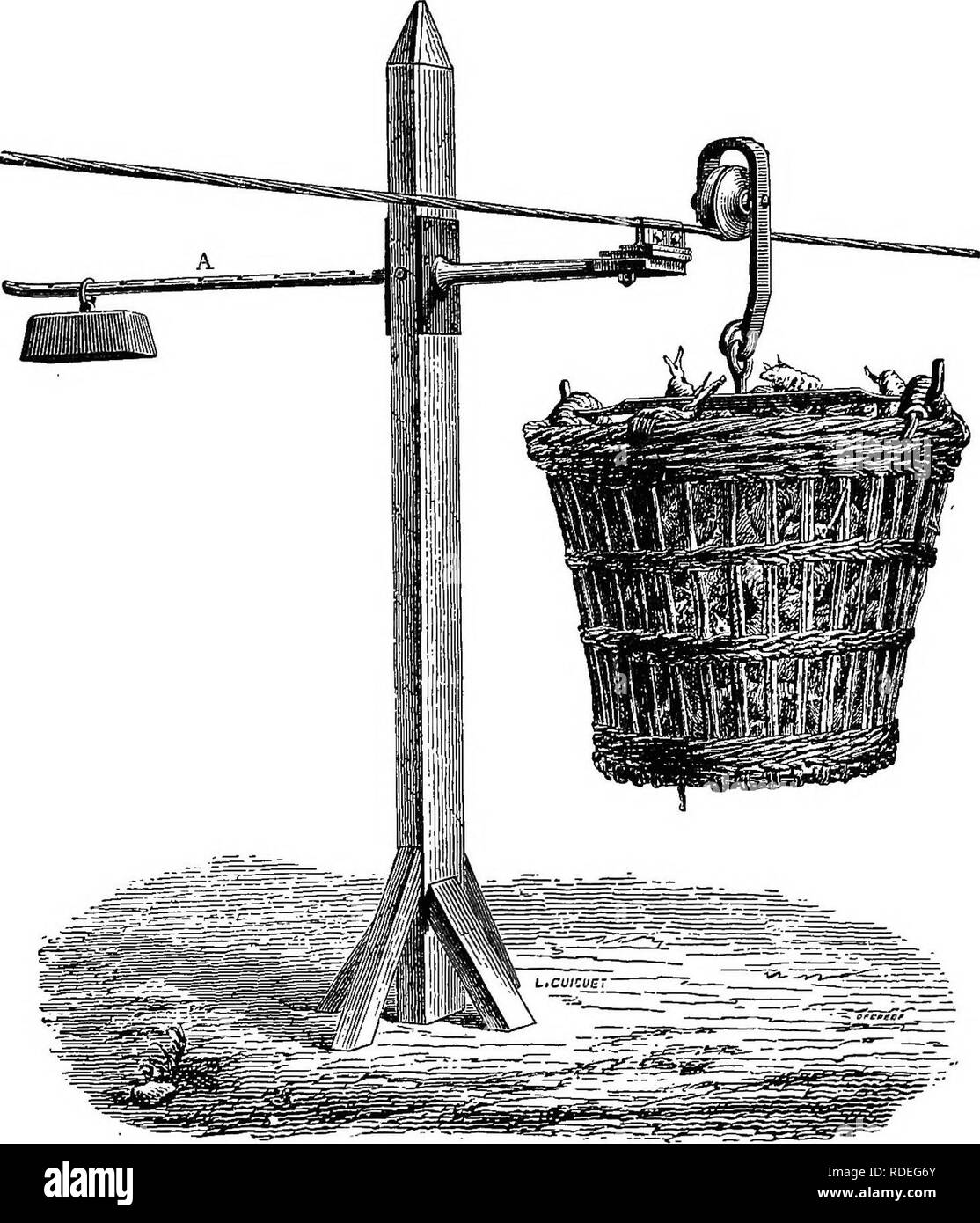 . The sugar beet : including a history of the beet sugar industry in ...