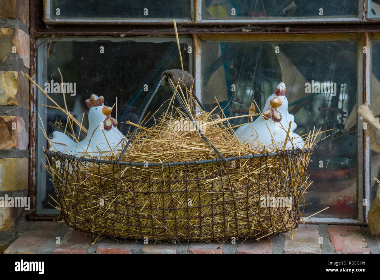 Chickens in window hi-res stock photography and images - Alamy