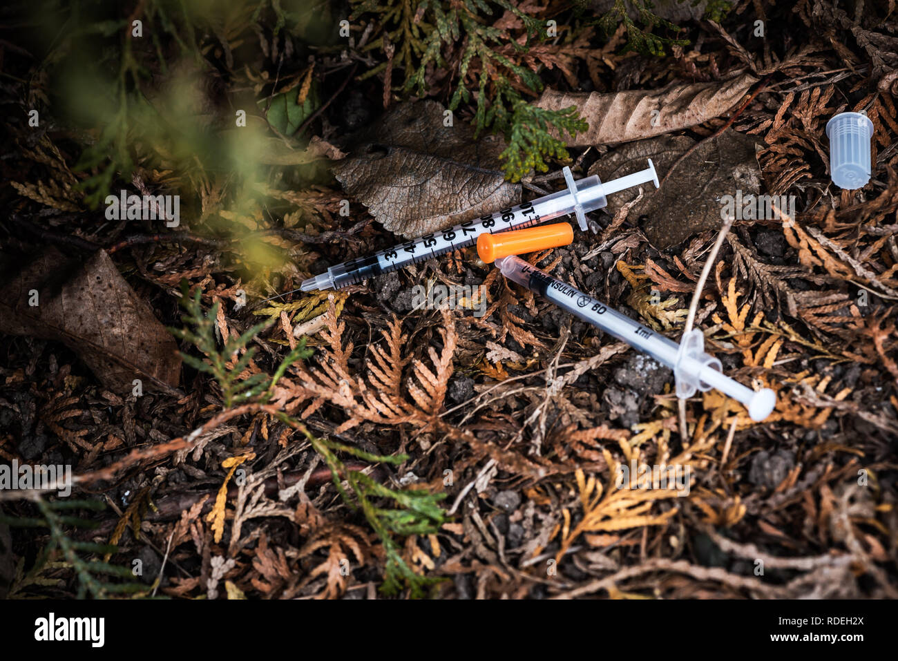 Tree injection hi-res stock photography and images - Alamy