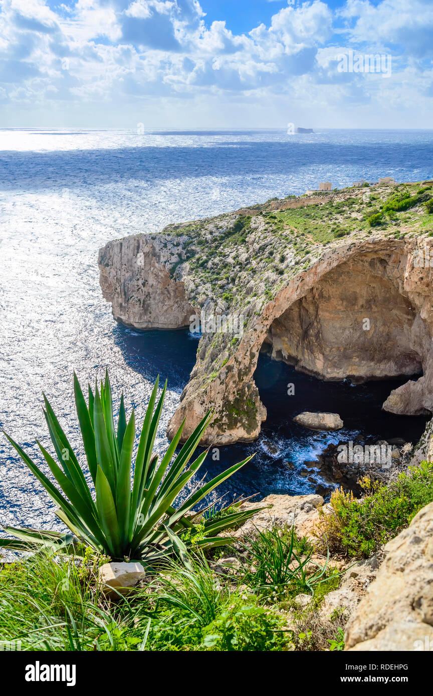 Blue Grotto, Malta. Natural stone arch and sea caves and agave plant in ...