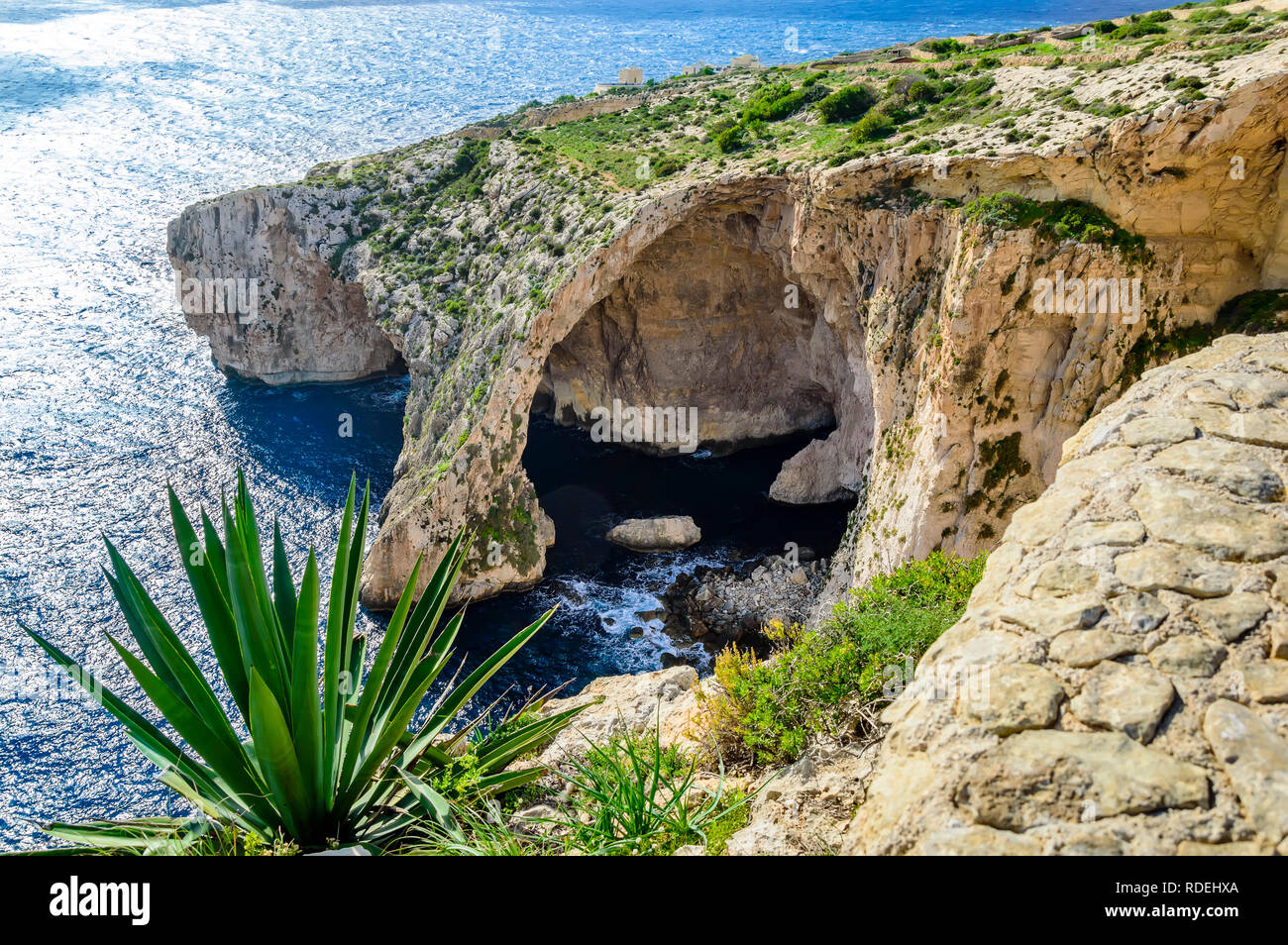 Blue Grotto, Malta. Natural stone arch and sea caves and agave plant in ...