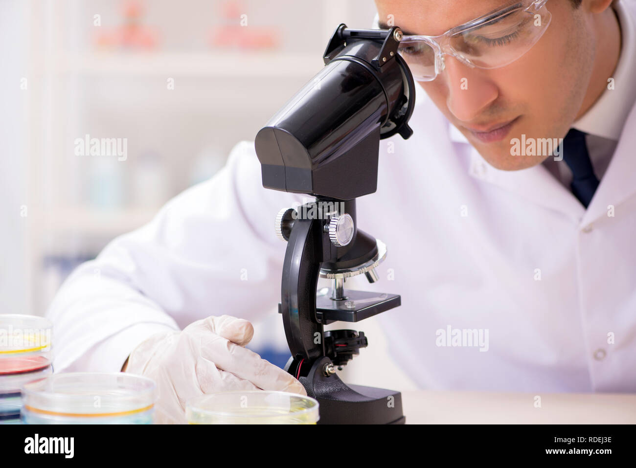 Scientist entomologist studying new butterfly species Stock Photo - Alamy