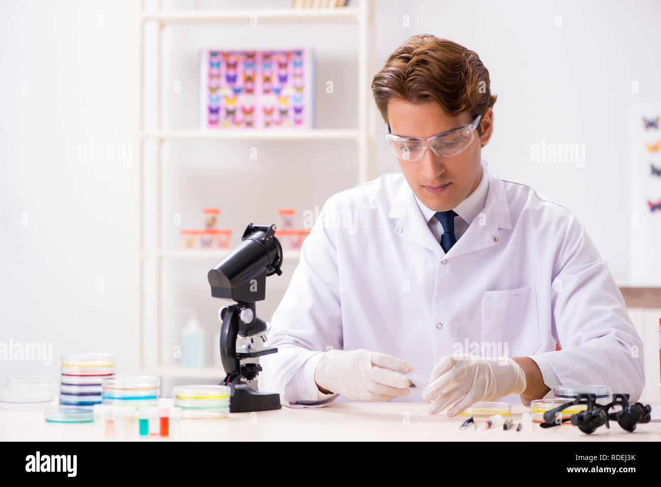 Entomologist microscope hi-res stock photography and images - Alamy