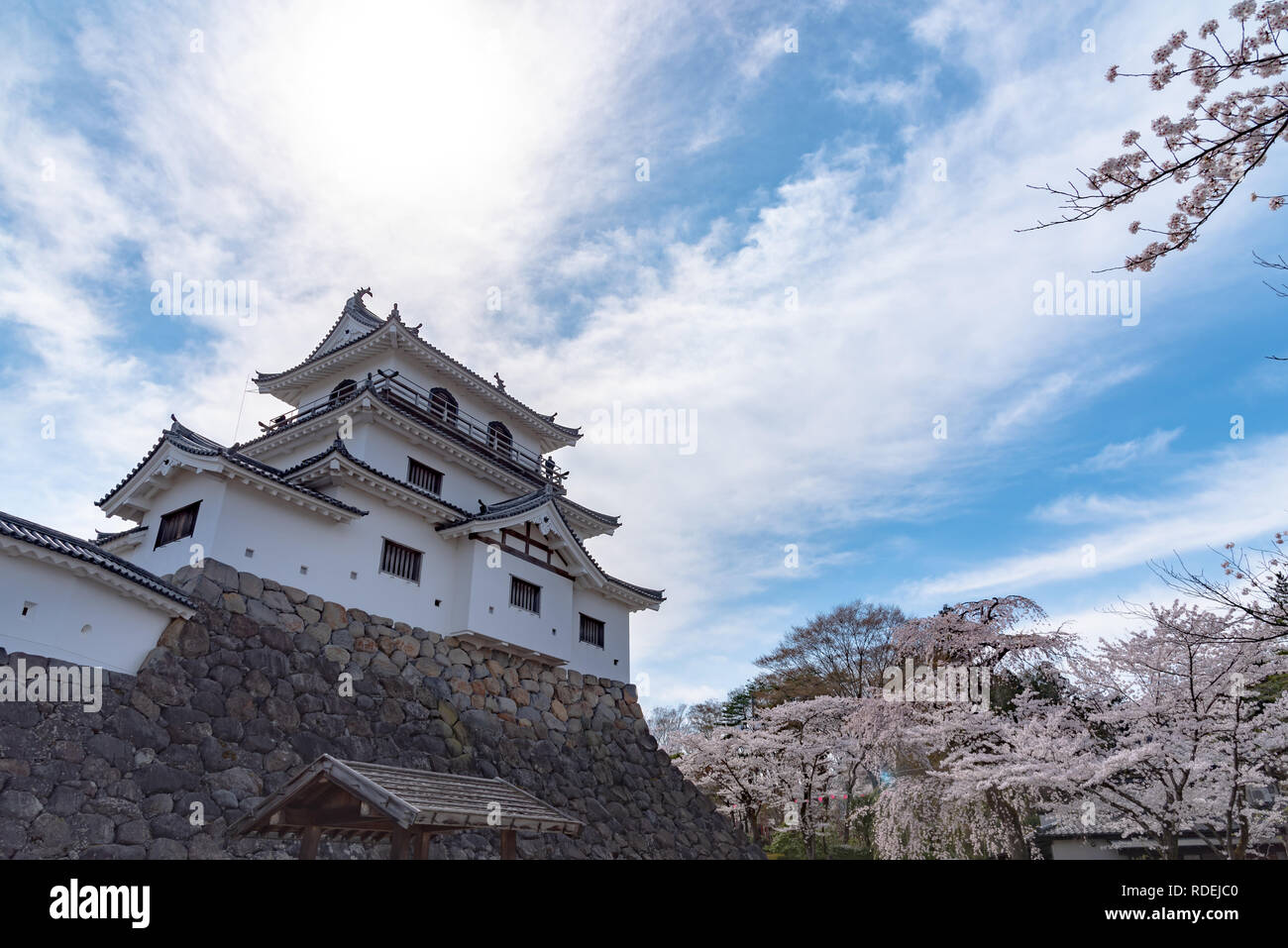 Shiroishi castle with Cherry blossoms and blue sky Stock Photo - Alamy