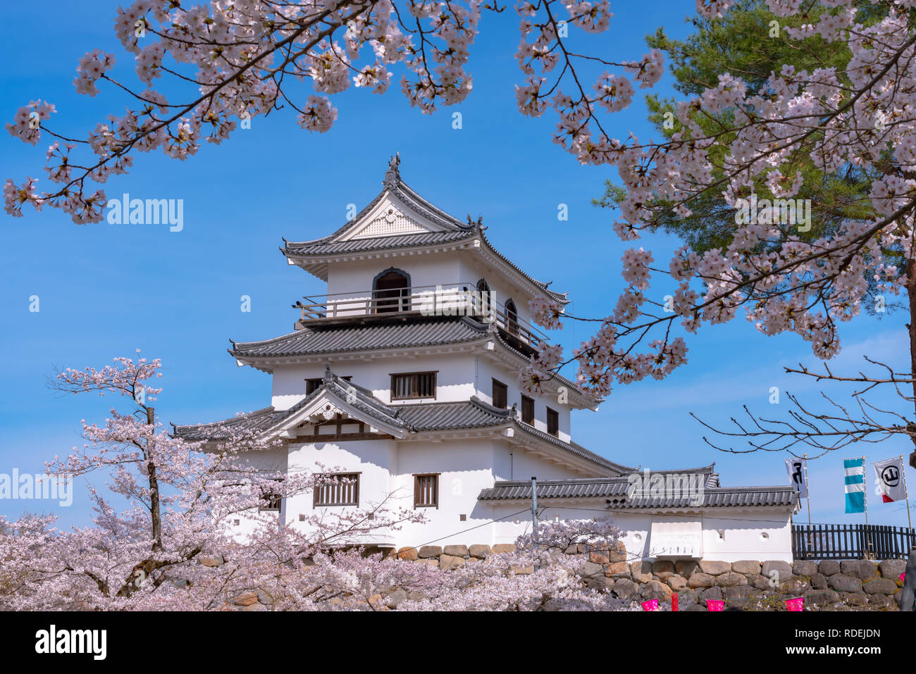 Shiroishi castle with Cherry blossoms and blue sky Stock Photo - Alamy