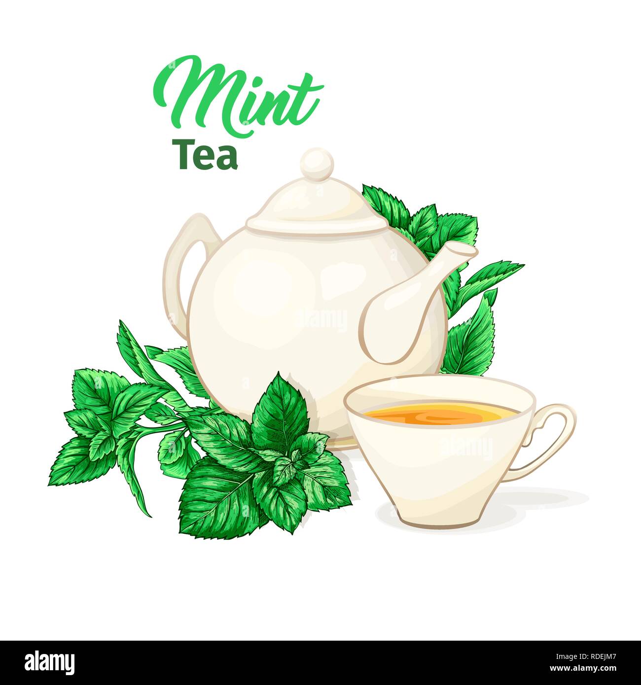 Ceramic Teapot and Tea cup. Mint Tea and Green Leaves. Isolated and ...