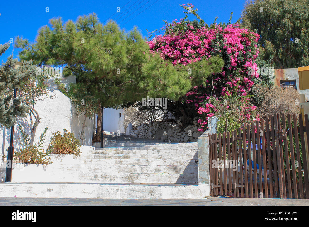 beautiful colorful vegetation on Kos island Stock Photo - Alamy