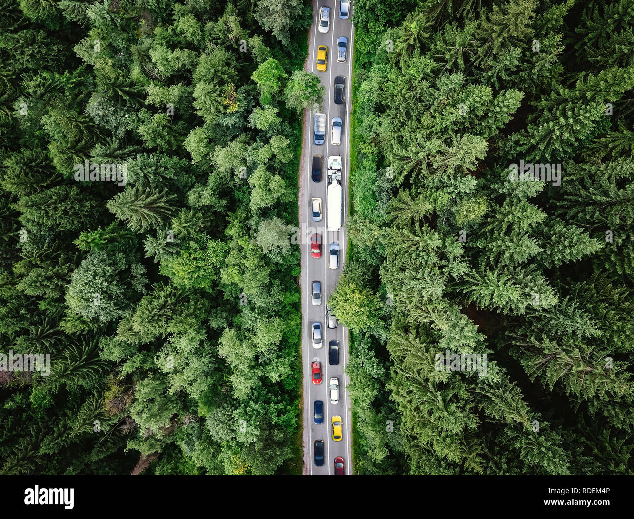Traffic jam on a road in the middle of a forest. Top down view of cars ...