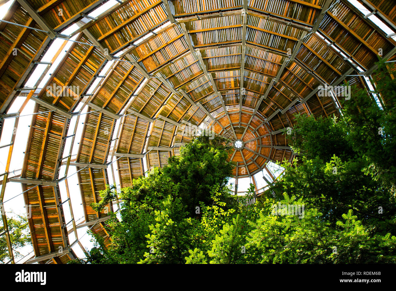 Wooden high path in the Bavarian forest Stock Photo - Alamy