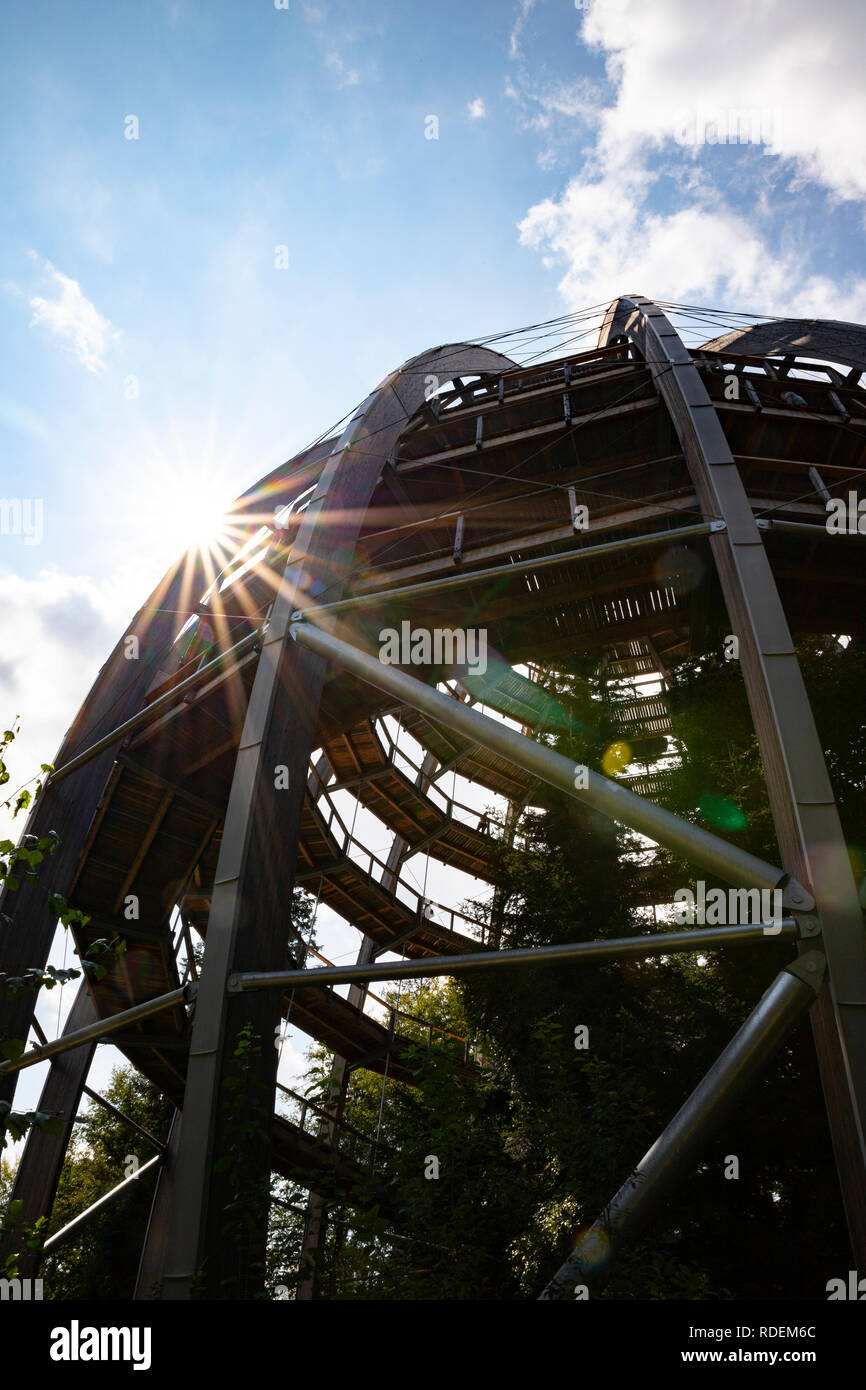 Wooden high path in the Bavarian forest Stock Photo - Alamy
