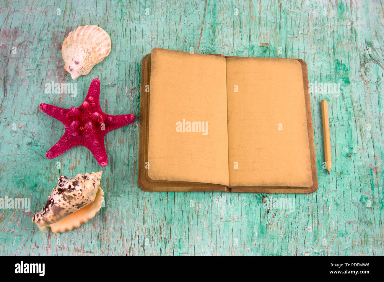 flat lay old mock up notebook ,pencil and collection of sea shells ...