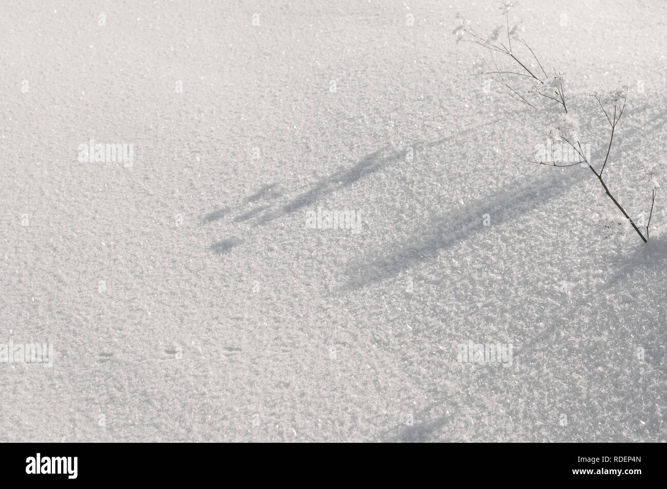 Landscape horizontal orientation hi-res stock photography and images ...