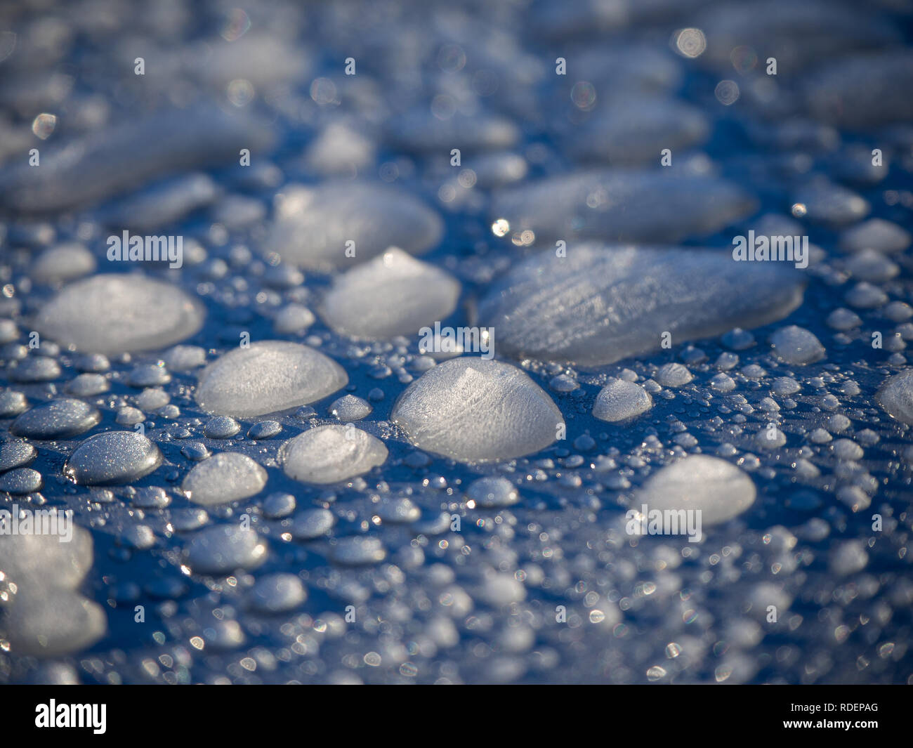 Frozen Water Droplets on a cold morning. Abstract blue background Stock ...